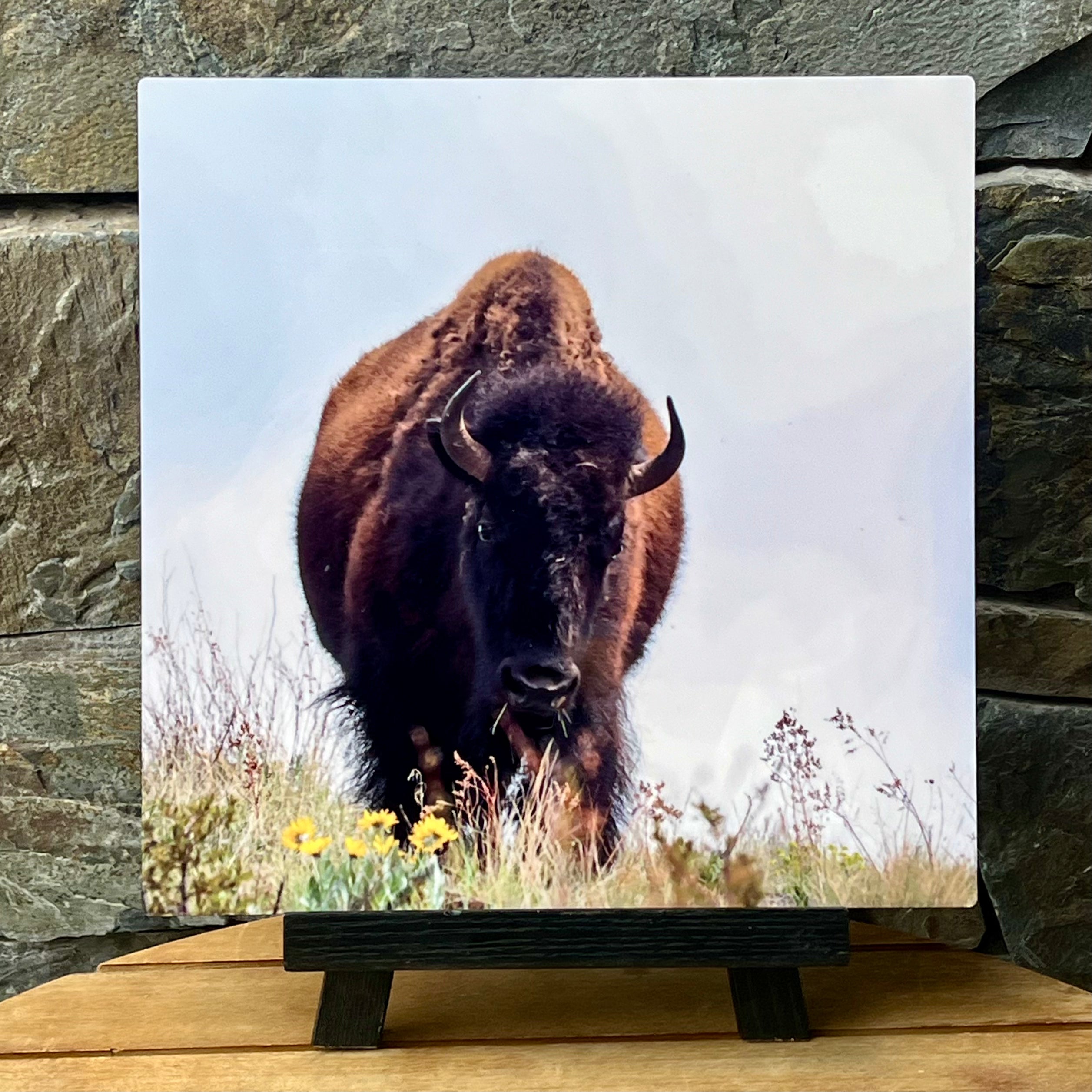 Montana Bison by Daphne Dennison – Electric Buffalo Gallery